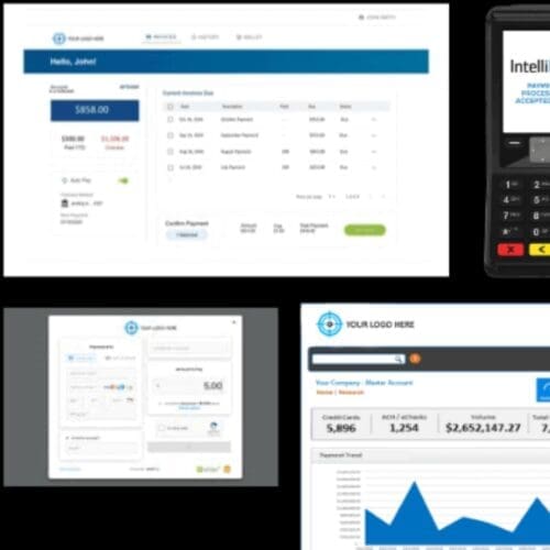 Category: Fee Based Models - IntelliPay